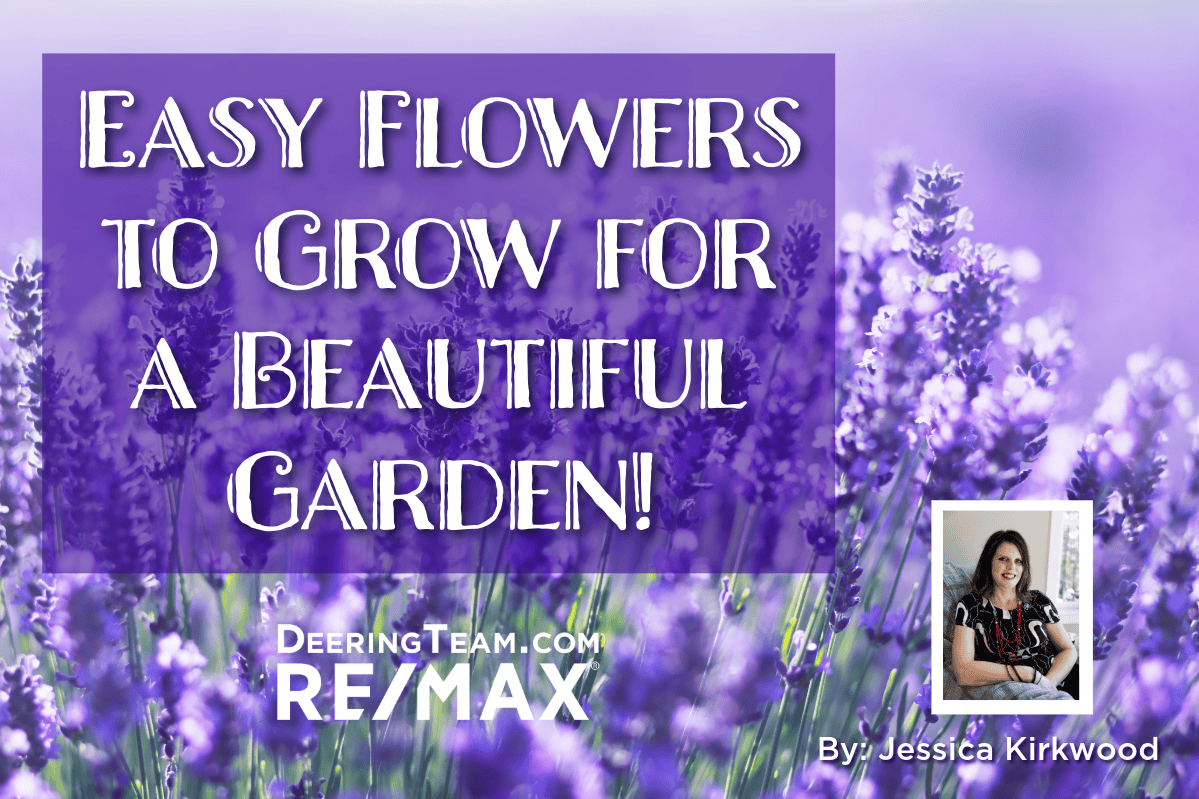 Easy Flowers to Grow for a Beautiful Garden! - The Mark Deering Team ...
