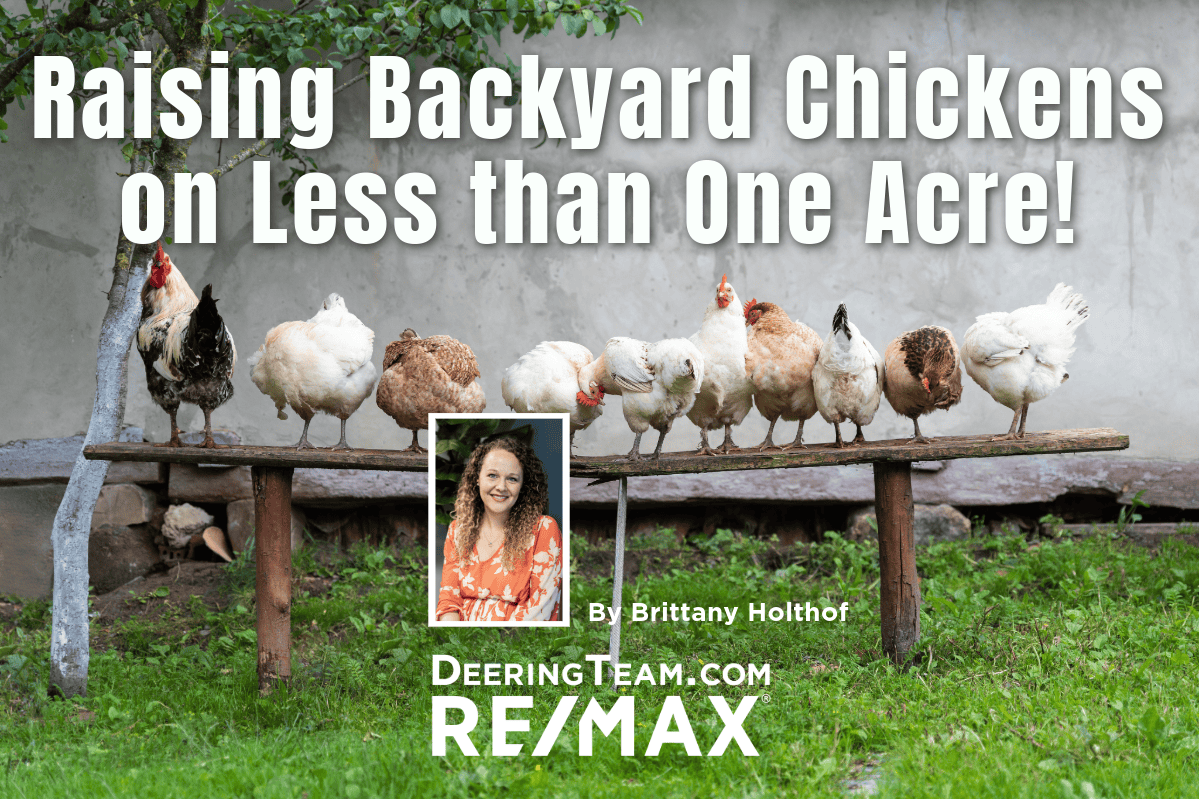 Raising Backyard Chickens on Less than One Acre - The Mark Deering Team ...