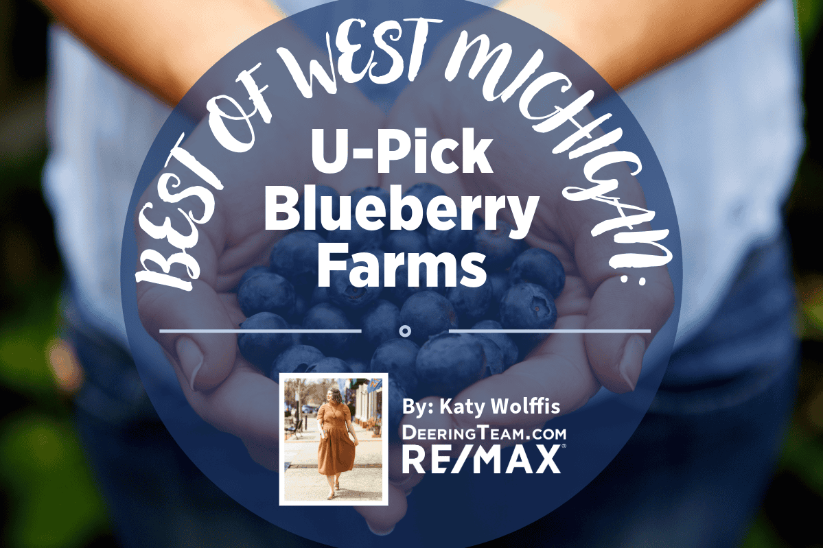 Best of West Michigan: U-Pick Blueberry Farms! - The Mark Deering Team ...
